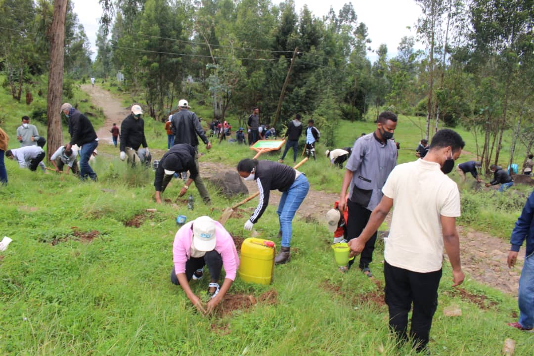Clean Cooking across Ethiopia
