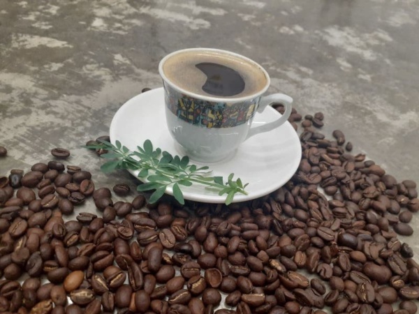 Ethiopian Herb Tena’adam